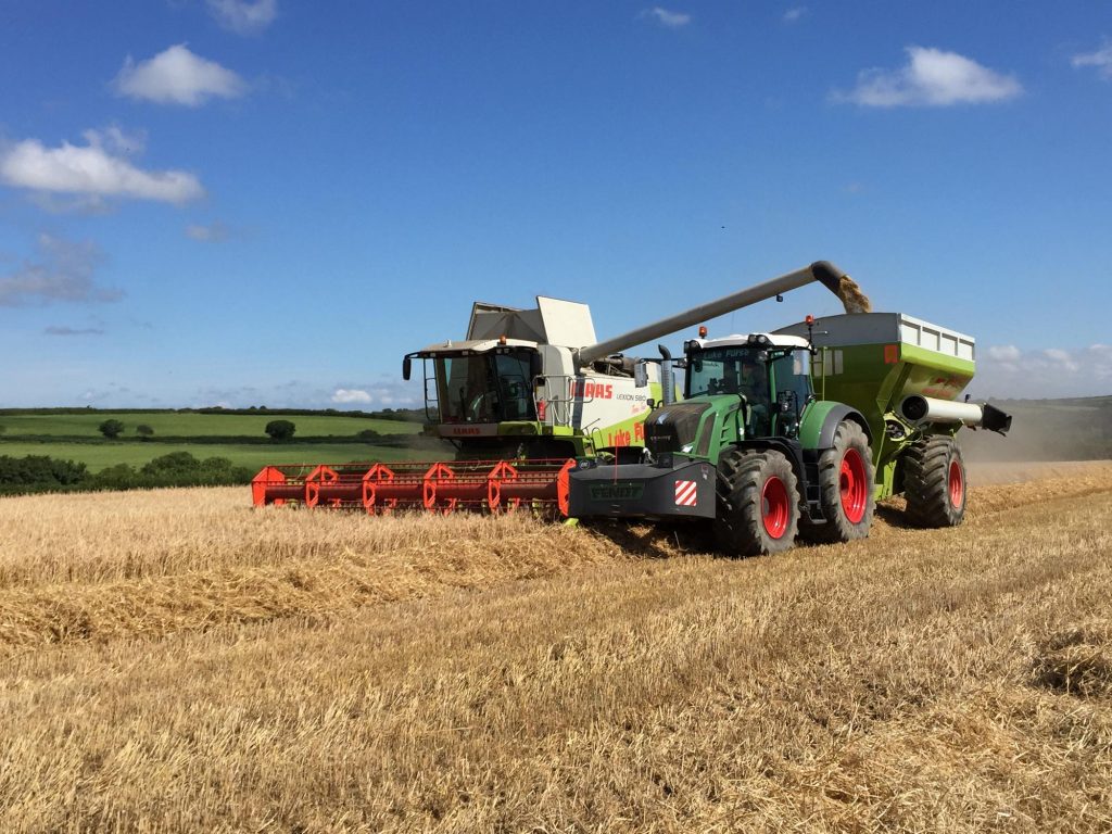 Farm diary – Autumn 2016 | Blog | Headon Farm